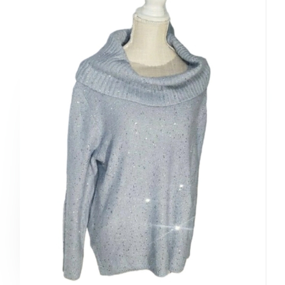 Ruby Rd. | Tops | Nwt Ruby Rd Sparkling Light Blue Sweater With Large ...